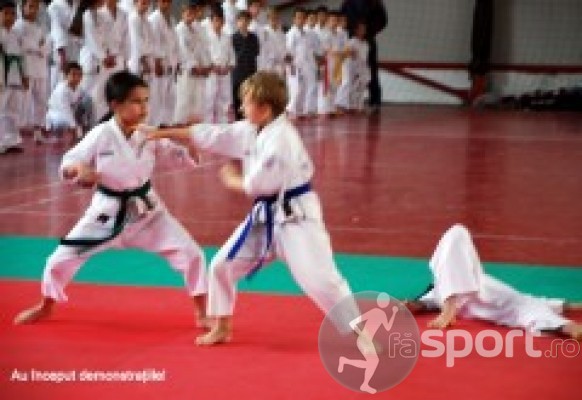 Scoala 24 Sf. Gheorghe Craiova - arte martiale in Craiova